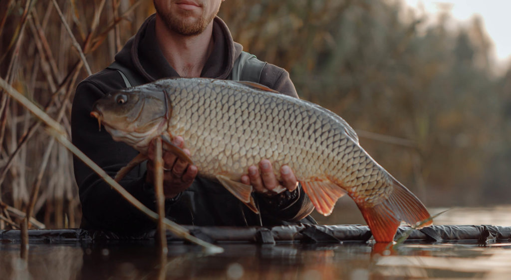 Fishing Guide - TRIZILY.COM