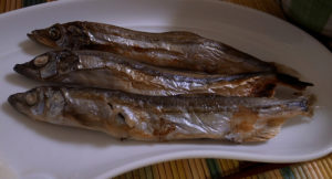 Capelin Fishing: Techniques, Bait and Gear - TRIZILY.COM