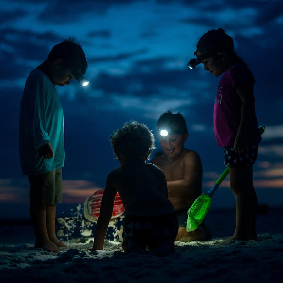 The 6 Best Head Torches For Fishing (2023 Updated) - trizily.com